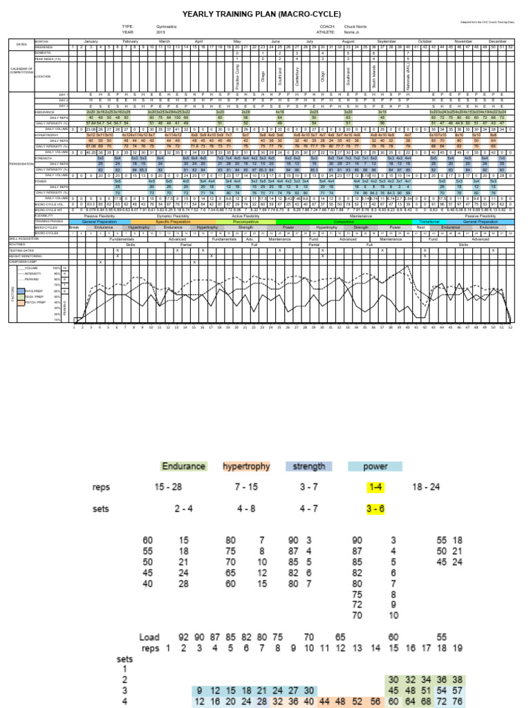 Daily Undulating Periodisation Plan Template | PDF | Physical Fitness ...
