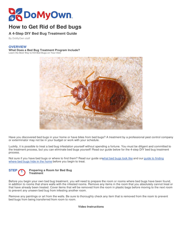 How To Get Rid Of Bed Bugs Yourself Domyown Com Domyown