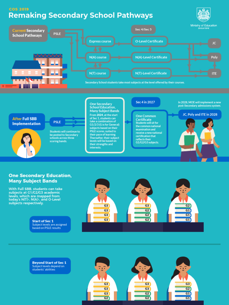 New Secondary School Pathways 2028 | PDF | Student Assessment And ...