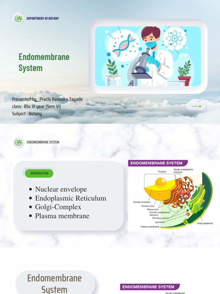 Endomembrane System (Seminar) | PDF | Endoplasmic Reticulum | Cell Membrane