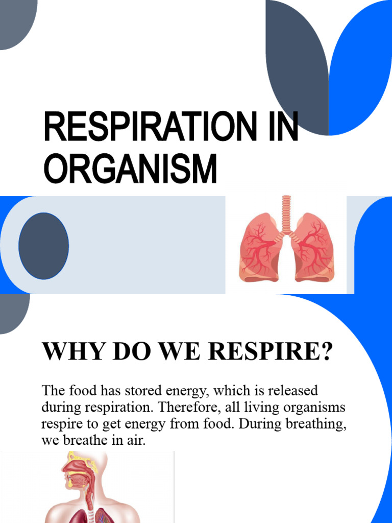 Respiration in Organism | PDF