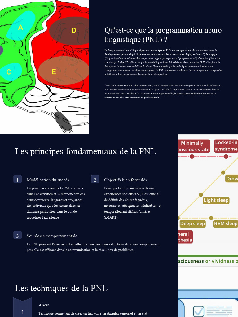 Quest Ce Que La Programmation Neuro Linguistique PNL | PDF | Programmation neuro-linguistique ...