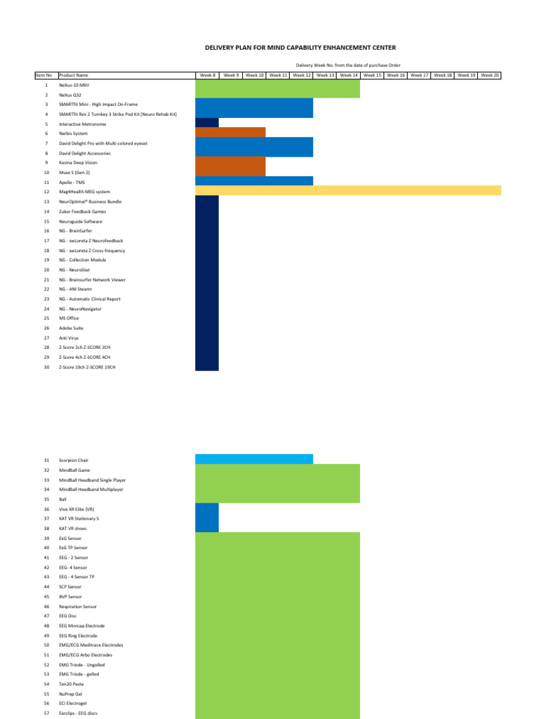 Delivery Plan | PDF