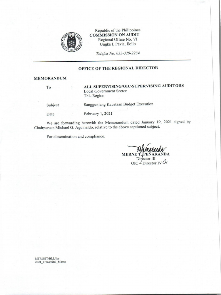 COA Memo Sangguniang Kabataan Budget Execution | PDF