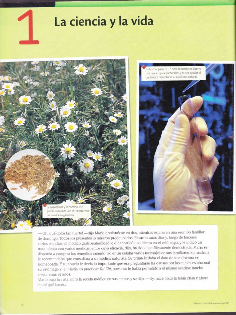 Uso de plantas medicinales en adultos mayores | PDF | Science | Edades ...