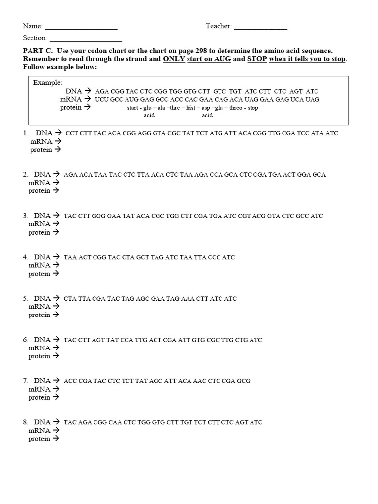 Protein Synthesis Worksheet | PDF