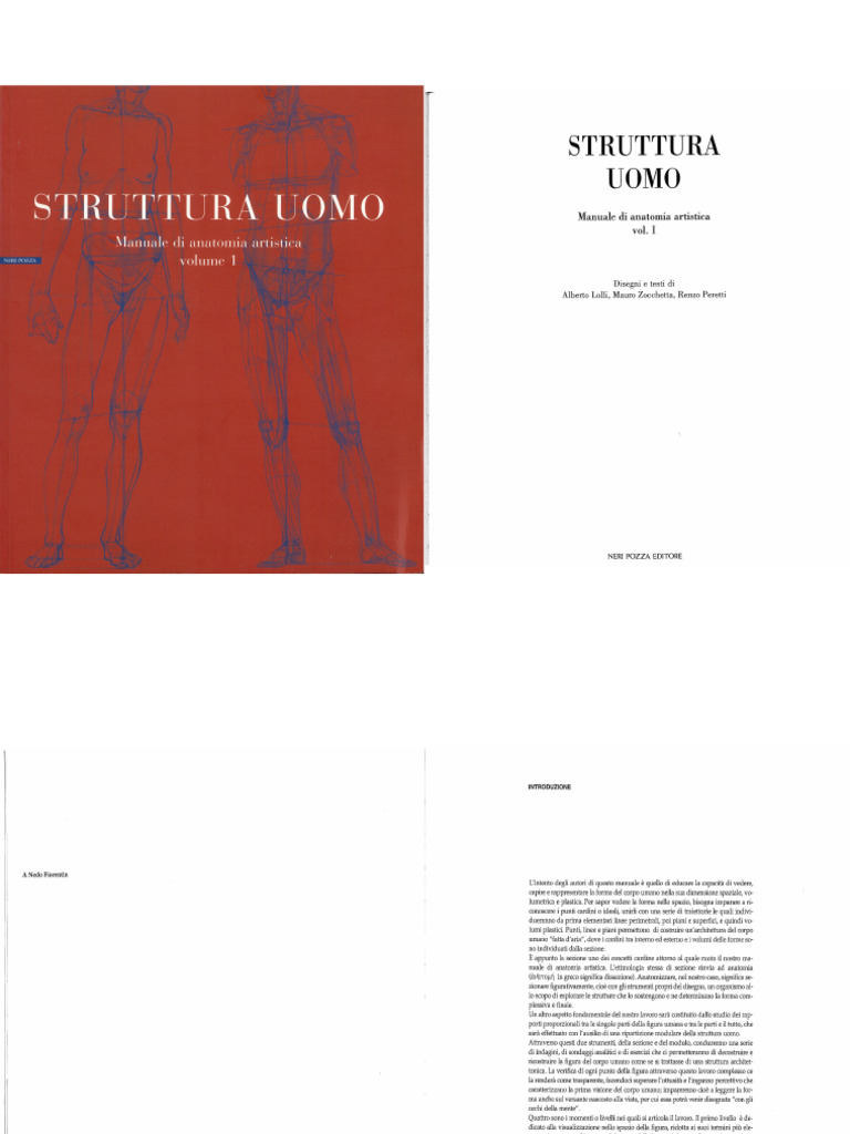 人體-Struttura Uomo - Manuale Di Anatomia Artistica - vol1 | PDF