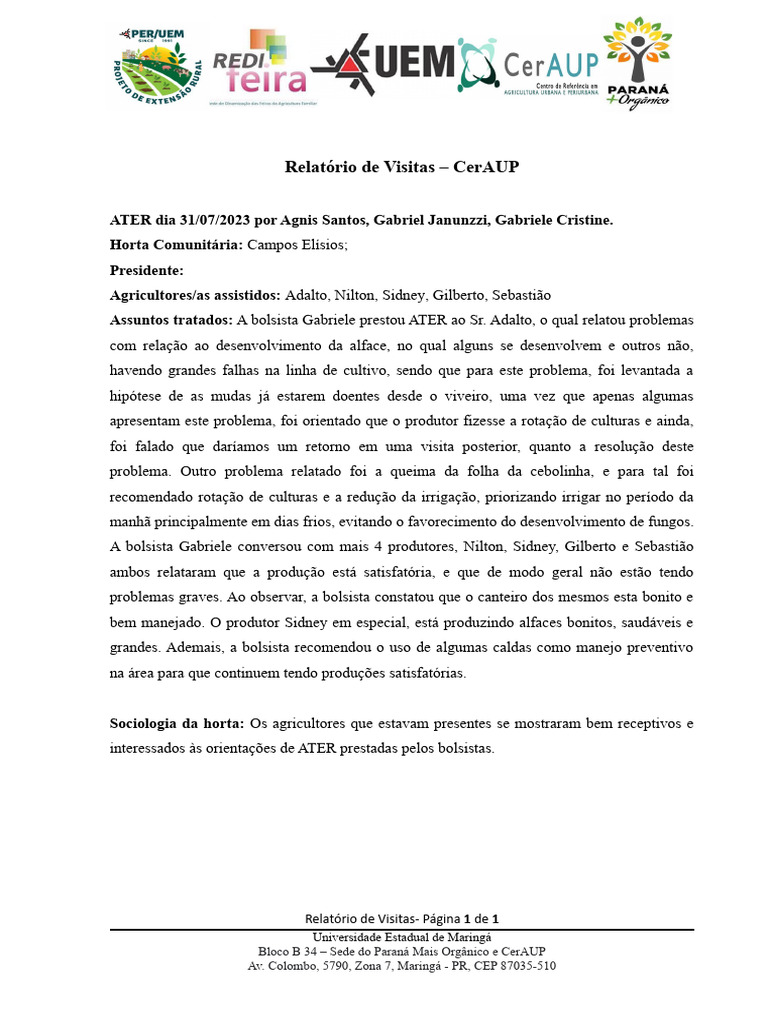 Relatório de Visita - HC Campos-Elísios - 2023-07-31 - V1 Gabriele | PDF | Tecnologia e Engenharia