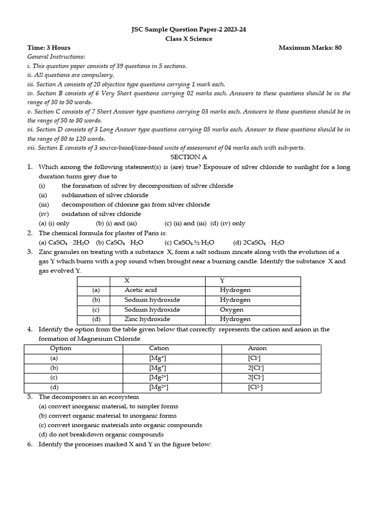 JSC Science SQP-2 2023-24 | PDF | Pollination | Chlorine