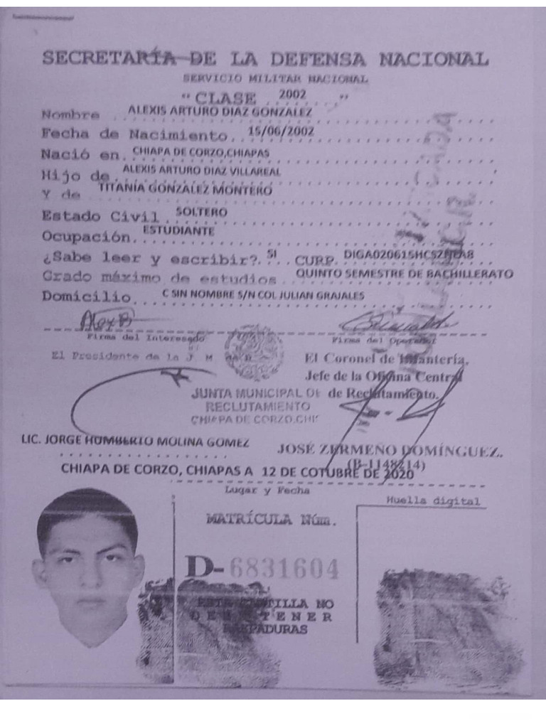 Cartilla Militar | PDF