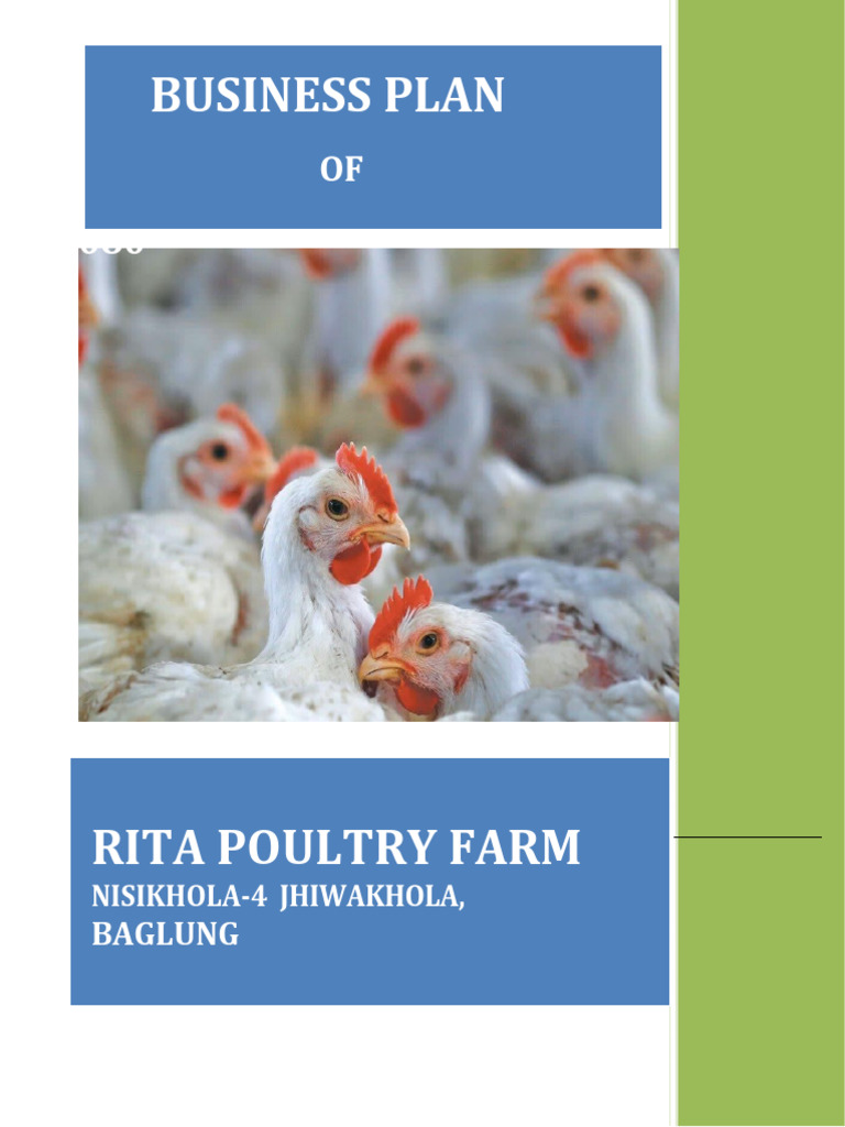 Rita Poultry Farm Business Plan | PDF | Net Present Value | Internal ...