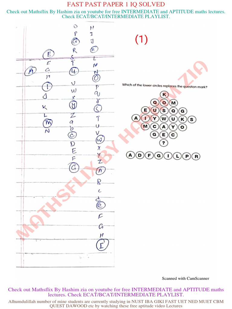 Fast Past Paper 1 Iq Solved | PDF | You Tube