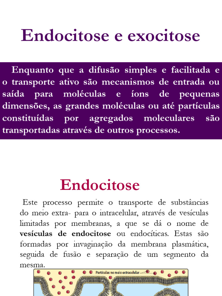 Endocitose e Exocitose: Mecanismos Celulares | PDF | Membrana celular ...