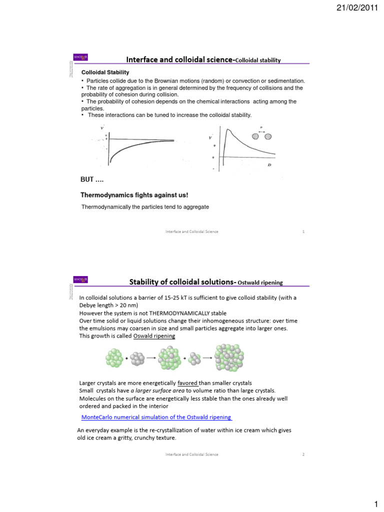 04 - Introduction To Polymer Physics | PDF