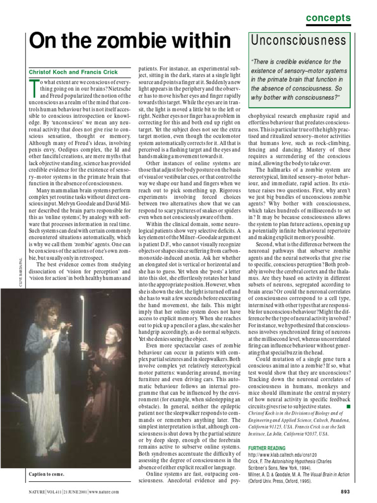 On The Zombie Within | PDF | Consciousness | Perception