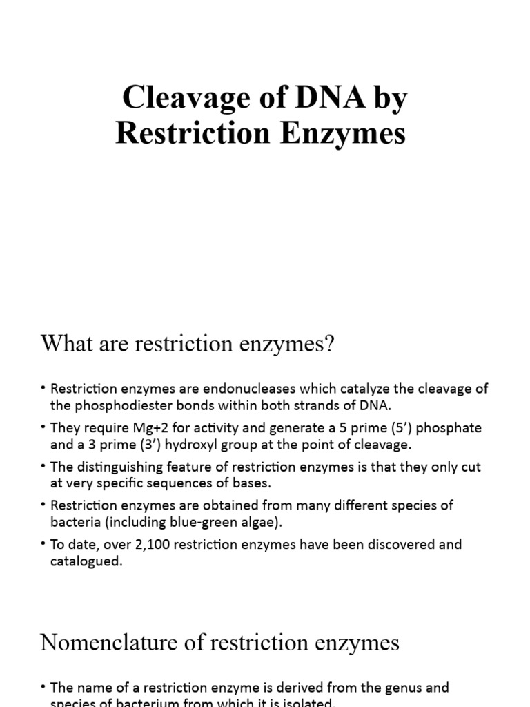 Cleavage of DNA by Restriction Enzymes | PDF