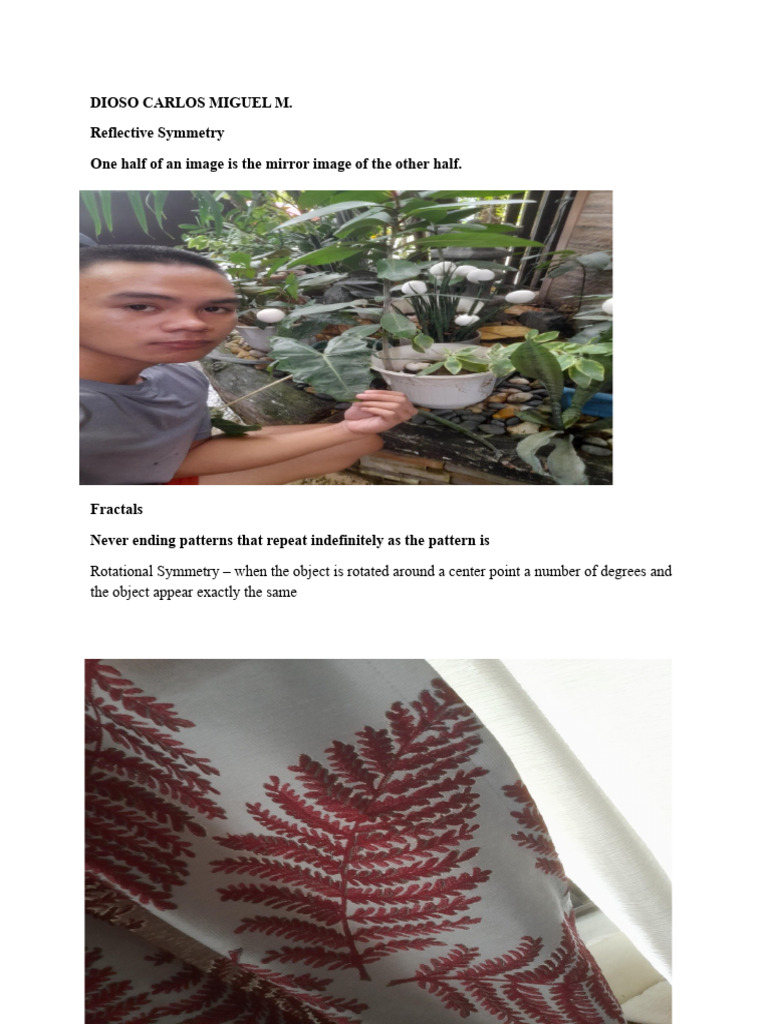 Assignment 1 SELFIE PICTURE WITH PATTERNS | PDF