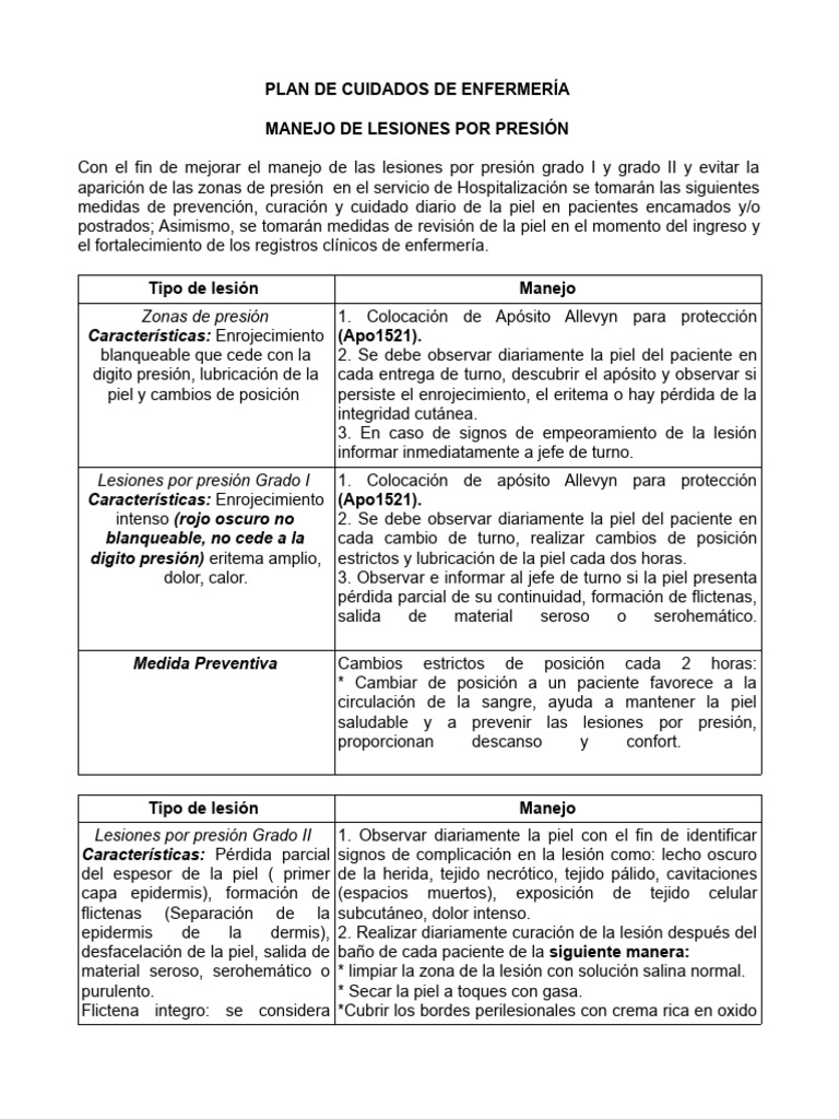 Plan de Cuidados LPP | PDF | Herida | Medicina CLINICA