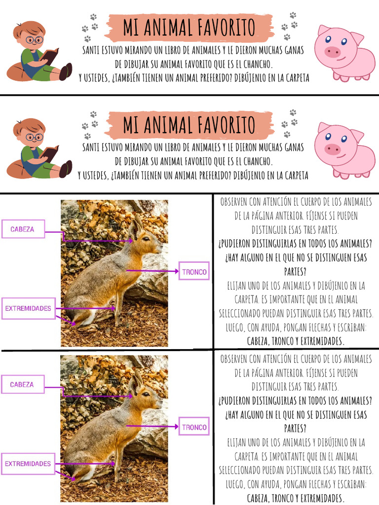 Mi Animal Favorito | PDF