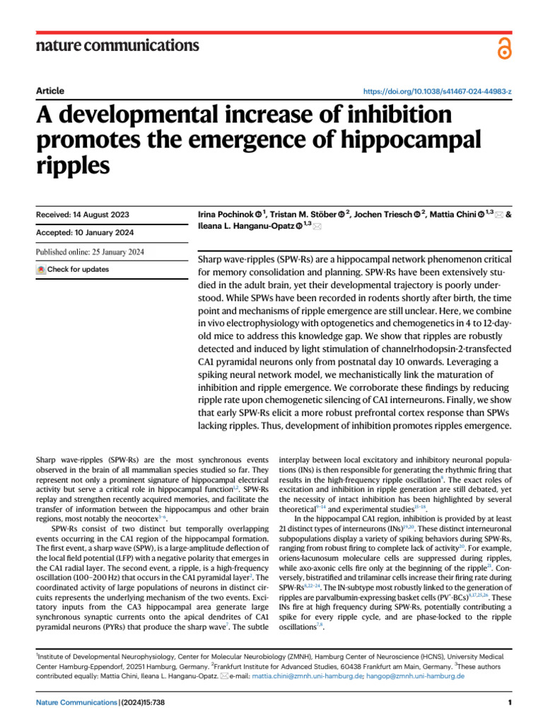 A Developmental Increase of Inhibition Promotes The Emergence of ... A Developmental Increase of Inhibition Promotes The Emergence of ...