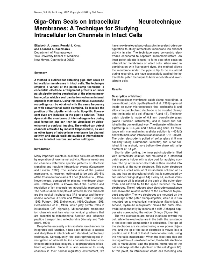 Giga-Ohm Seals | PDF