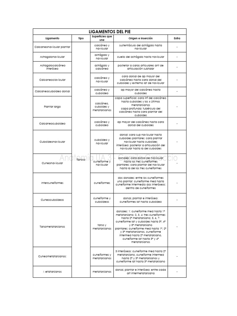 Ligamentos del Pie: Estructura y Función | PDF | Pie | Anatomía del ...