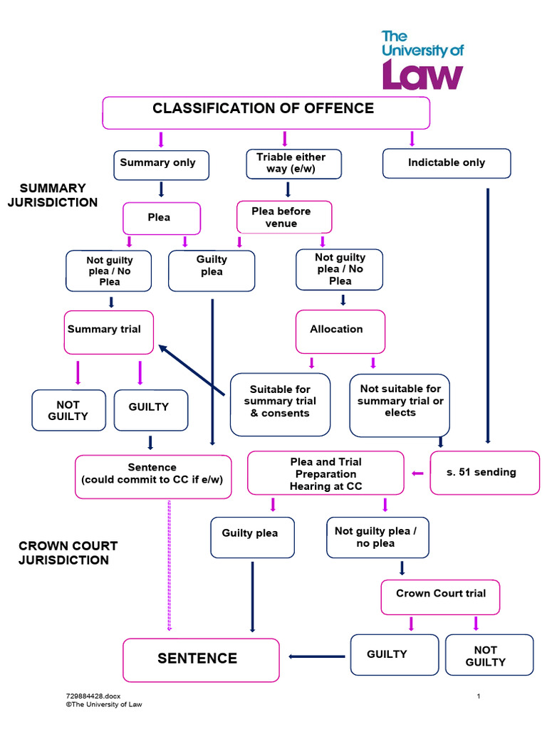 Plea and Trial Preparation Guide | PDF