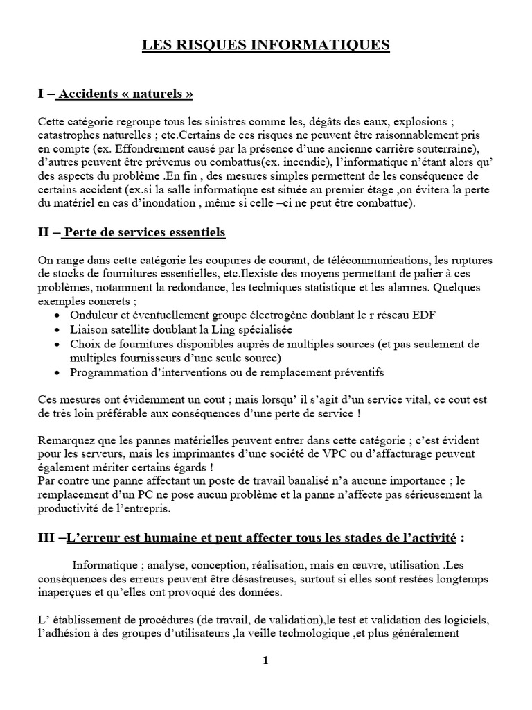 3les Risques Informatiques | PDF