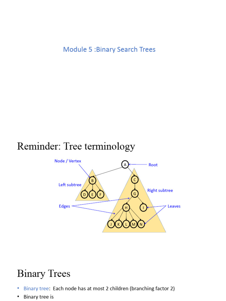 Binary Search Trees | PDF | Algorithms And Data Structures | Graph Theory