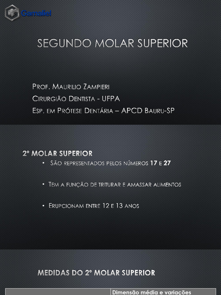 Anatomia do Segundo Molar Superior | PDF