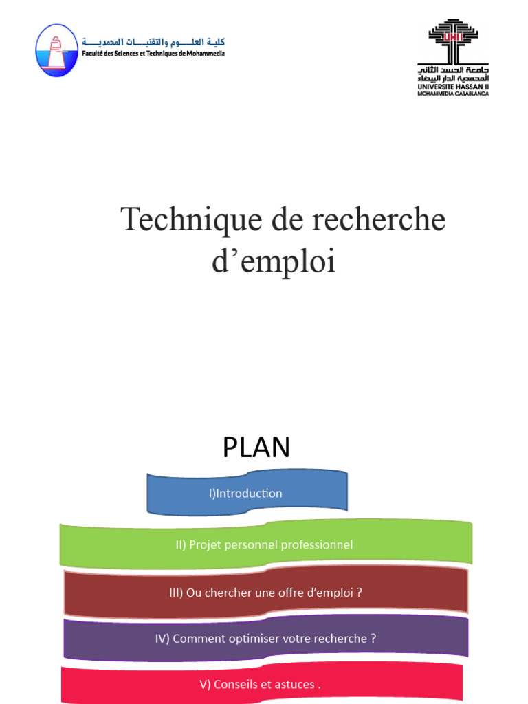 Guide Optimisé pour la Recherche d'Emploi | PDF | Économie | Business