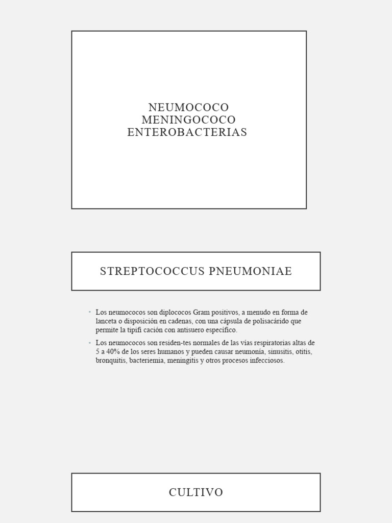 Expo Micro | PDF | Meningitis | Inmunología