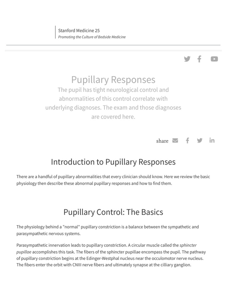 Understanding Pupillary Responses in Medicine | PDF | Medical ...