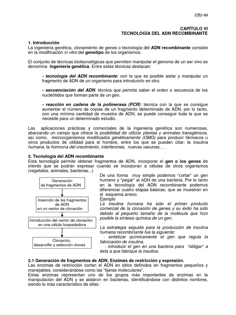 007 Tecnologia Del Adn Recombinante | PDF | Ingeniería genética | Plásmido