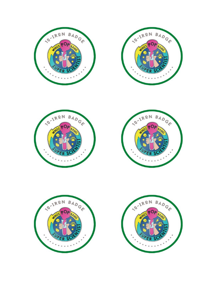 Badge System | PDF
