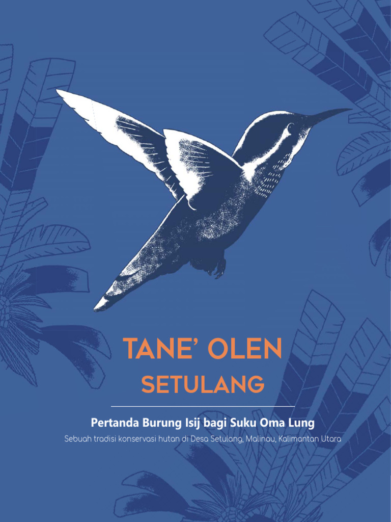 Tane Olen Setulang | PDF