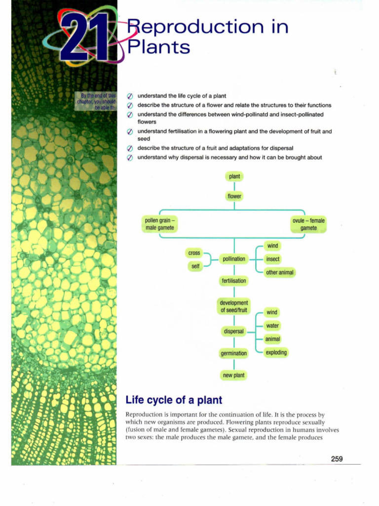 Sexual Reproduction in Plants | PDF