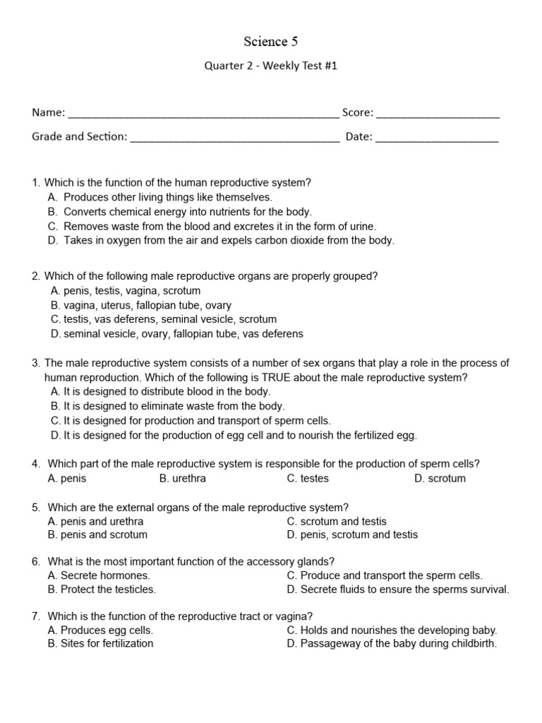 Quarter 2 - Weekly Test #1 - Human Reproductive System | PDF ...