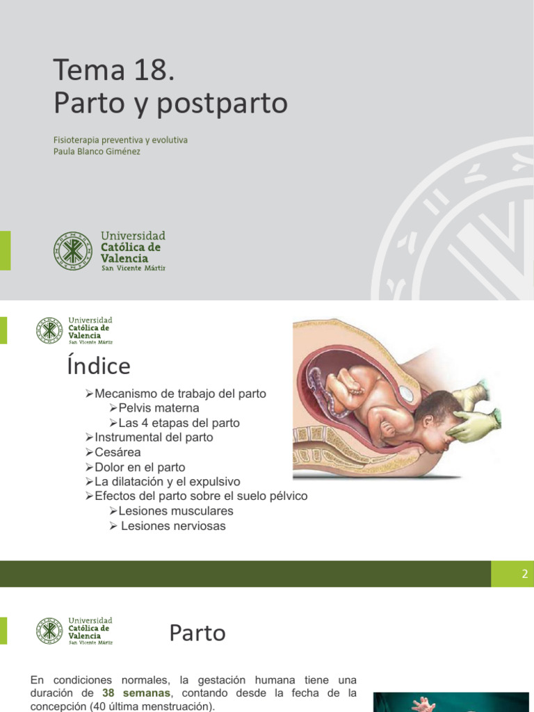 Tema 18. Parto y Postparto | PDF