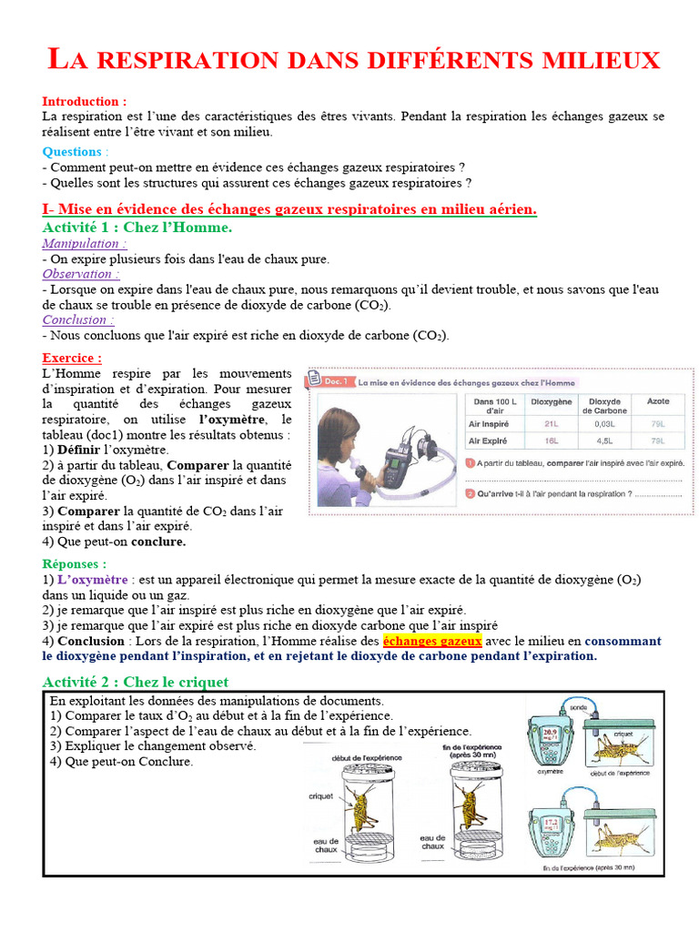 La Respiration | PDF | Respiration | Branchie
