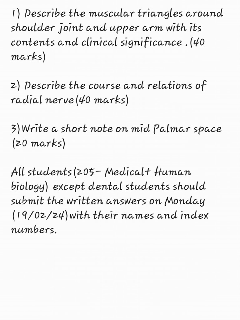Anatomy SEQs | PDF