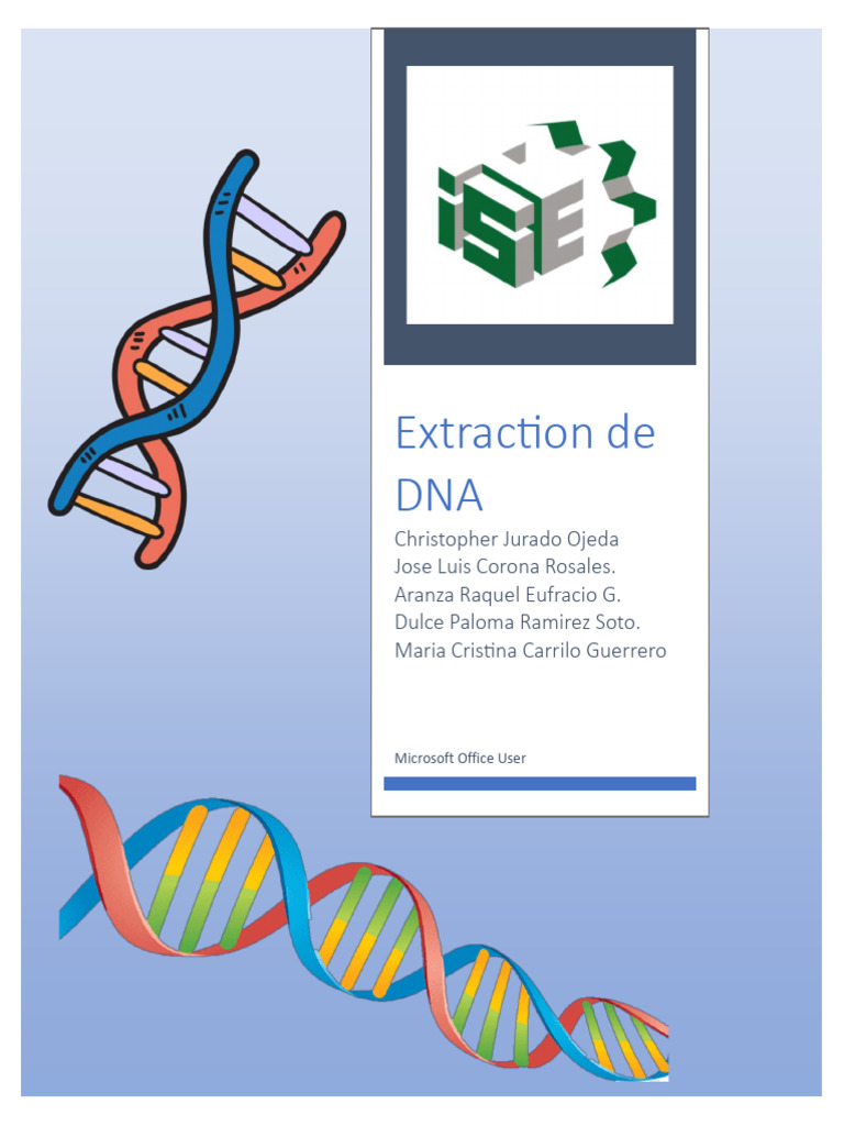 Practica ADN | PDF
