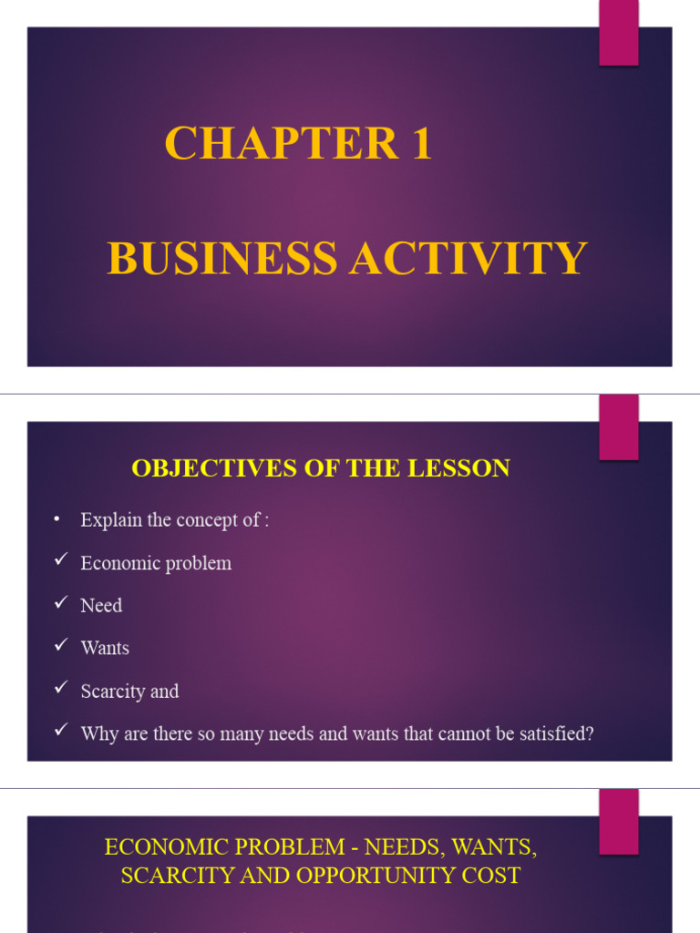 Chapter 1 - Business Activity | PDF