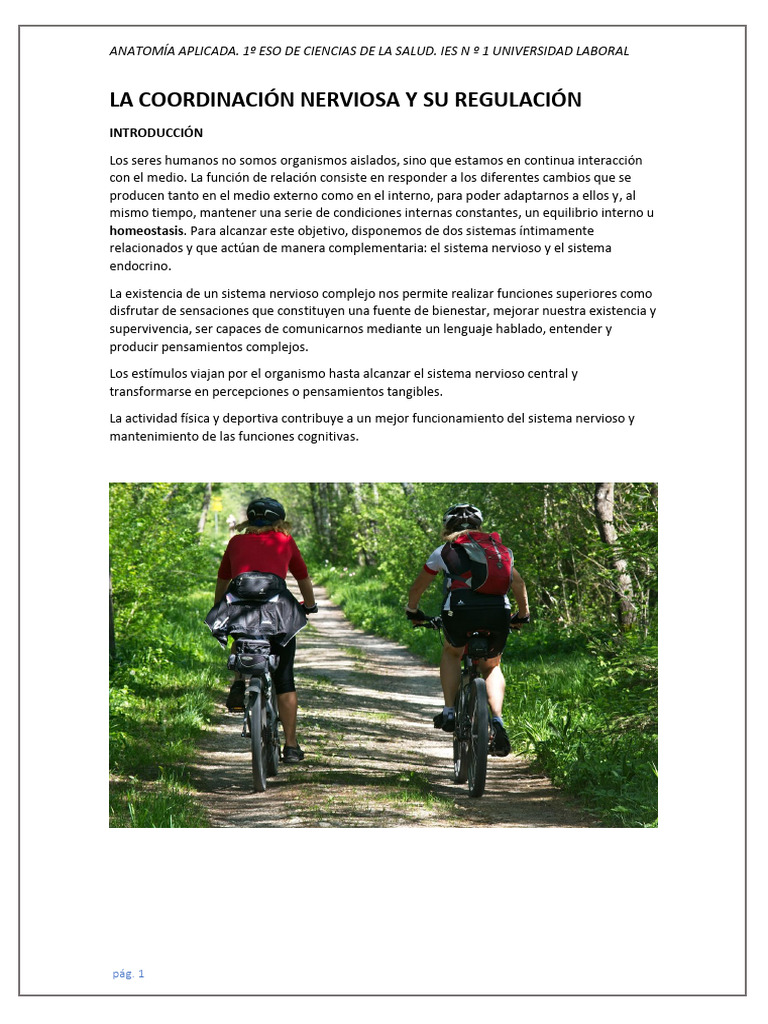 Anat Aplic 1º Bach T2 Coord Nerv | PDF | Sinapsis | Sistema nervioso