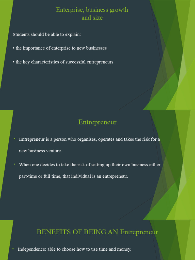 Chapter 3 - Enterprise, Business Growth and Size | PDF ...