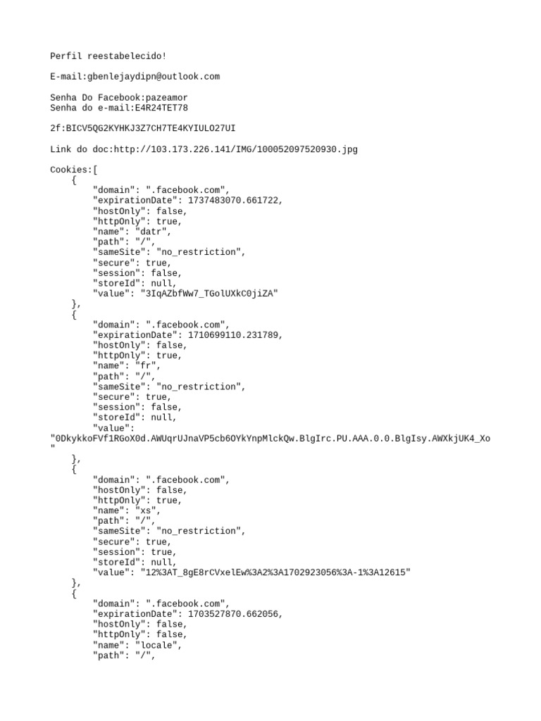 Perfil | PDF | Http Cookie | Data Management