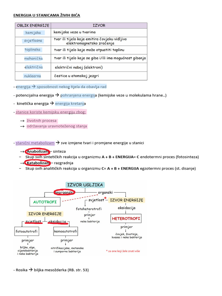 Biologija Usmeni | PDF
