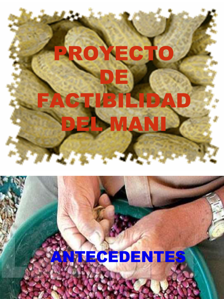 Produccion de Mani 3 | PDF