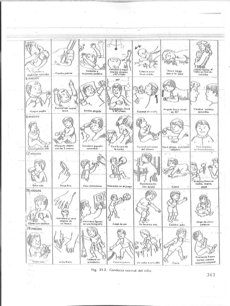 Esquema Gesell | PDF