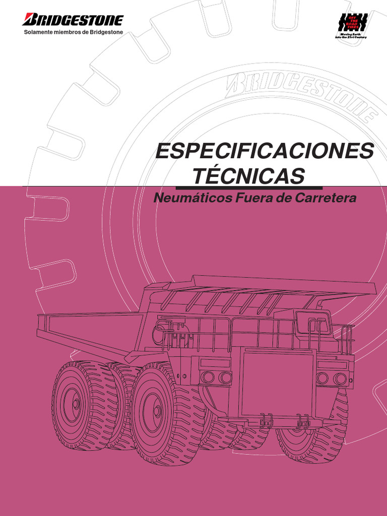 Data Book Master v1 Client | PDF | Neumático | Camión